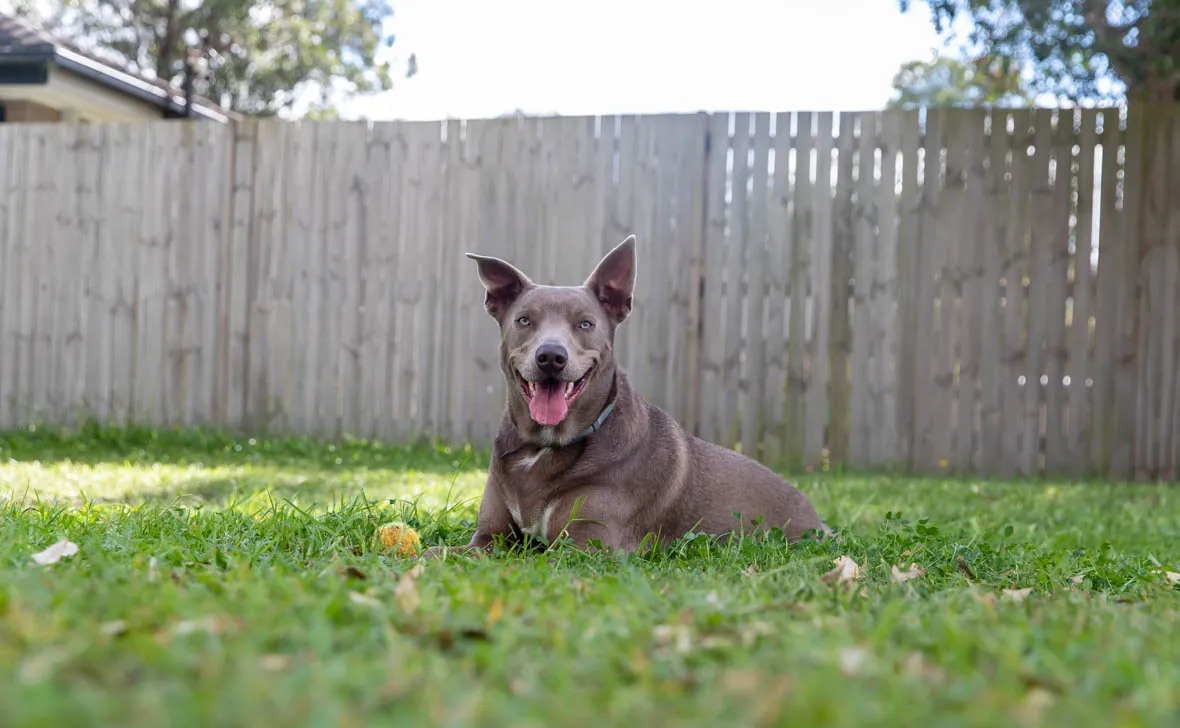 Berkeley Vale Care Community | Opal HealthCare